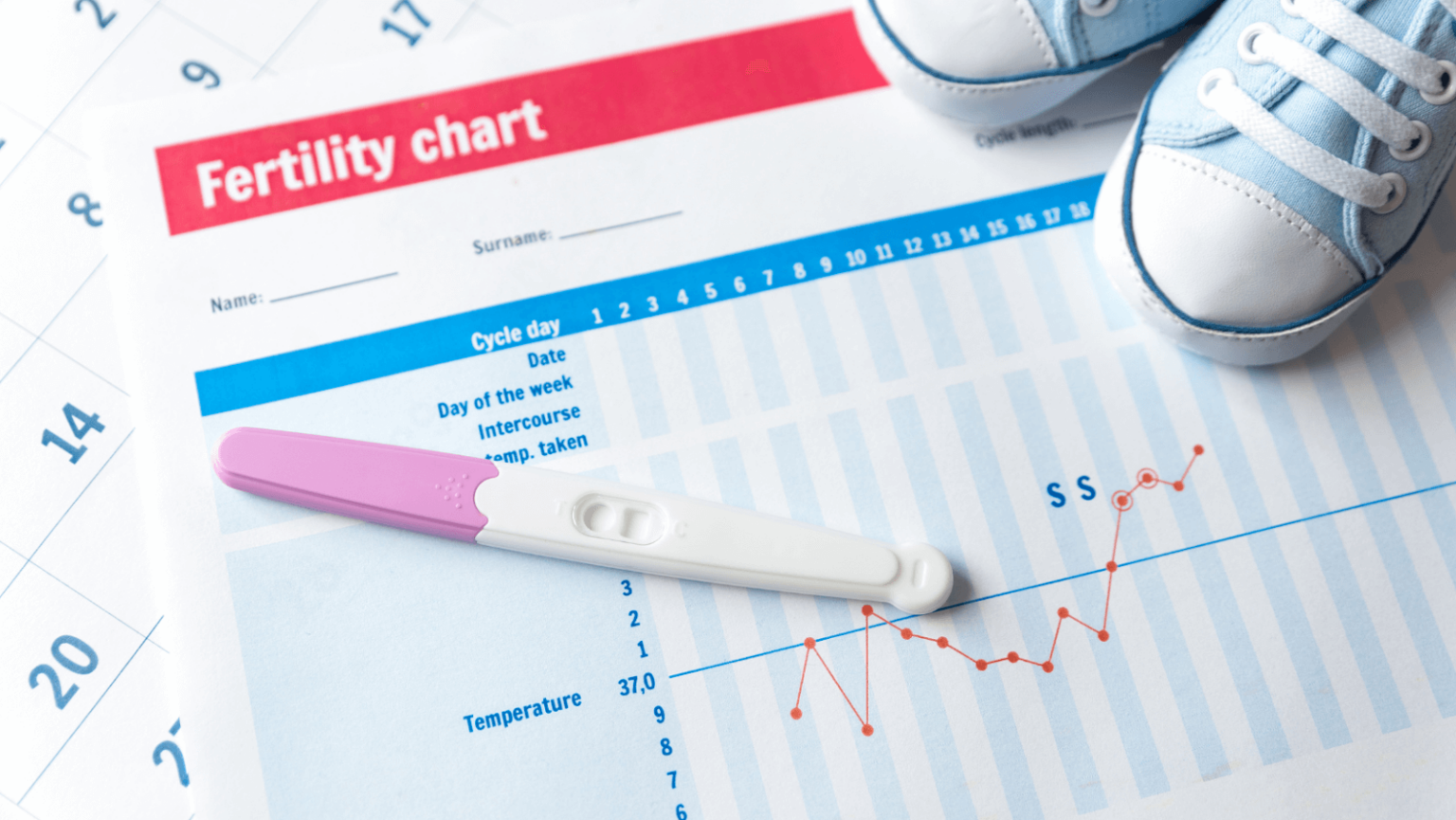 The Importance of AMH Testing: Evaluating Fertility Potential ...